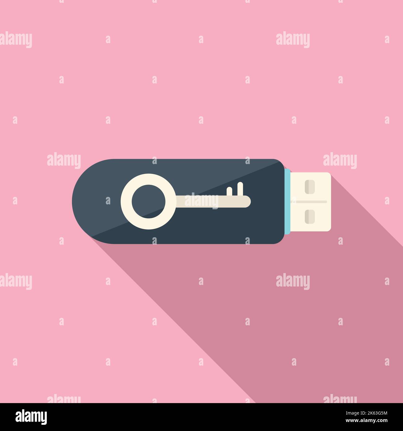 Usb flash password recovery icon flat vector. Page account. Internet ...