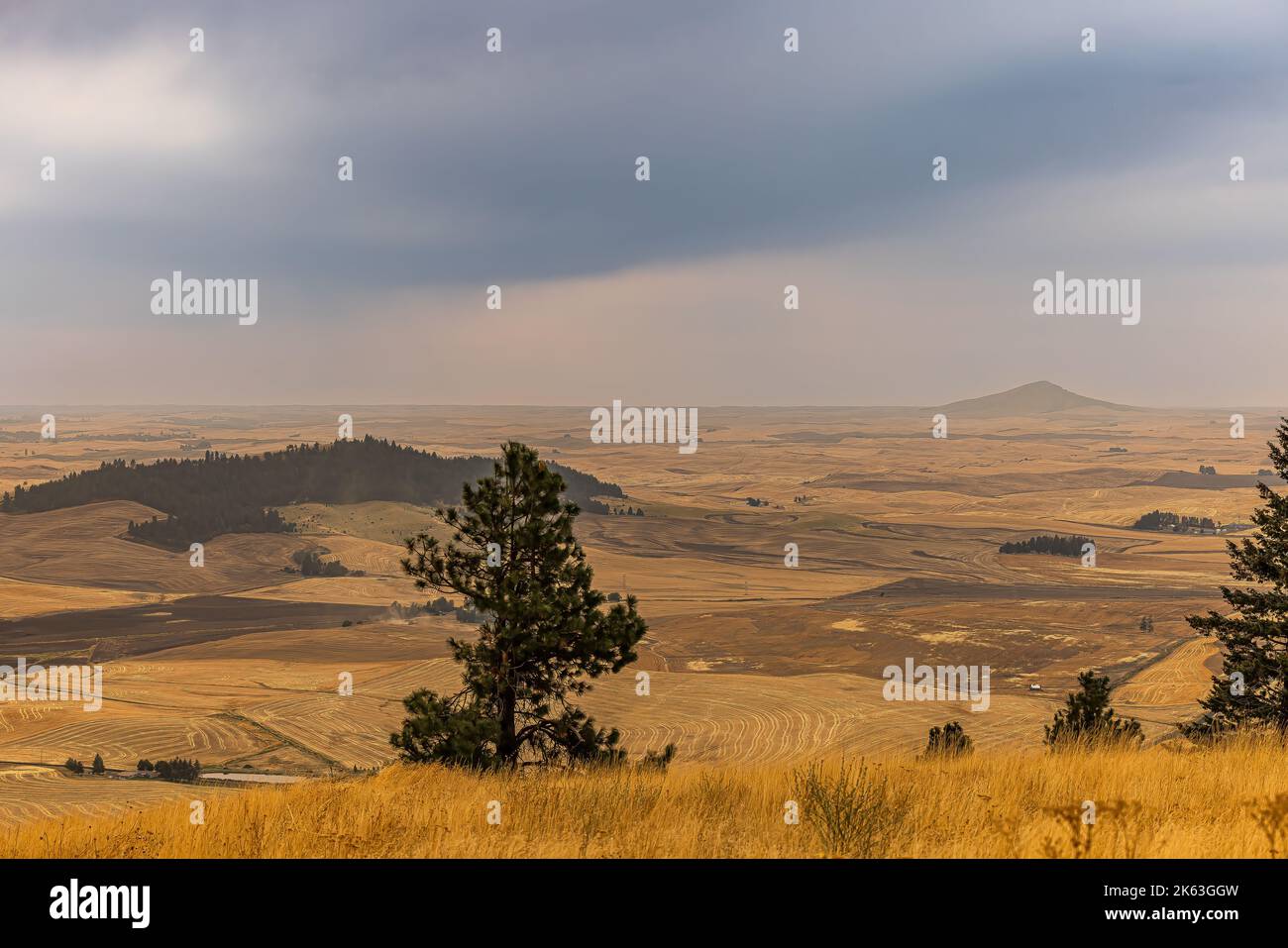The storm coming in with Steptoe Butte from the distance in Palouse ...