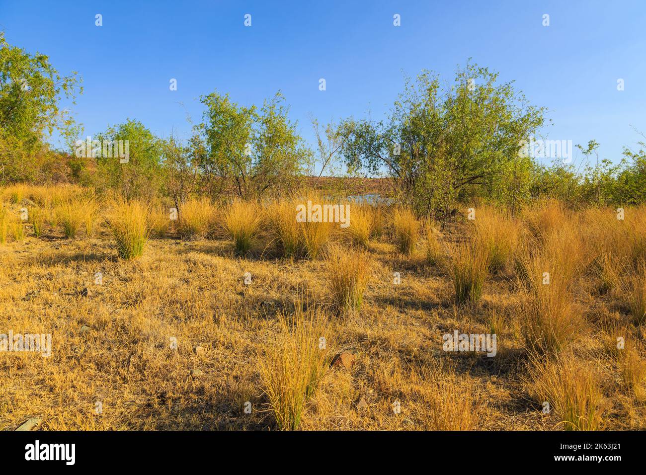 Kalahari resort hi-res stock photography and images - Alamy