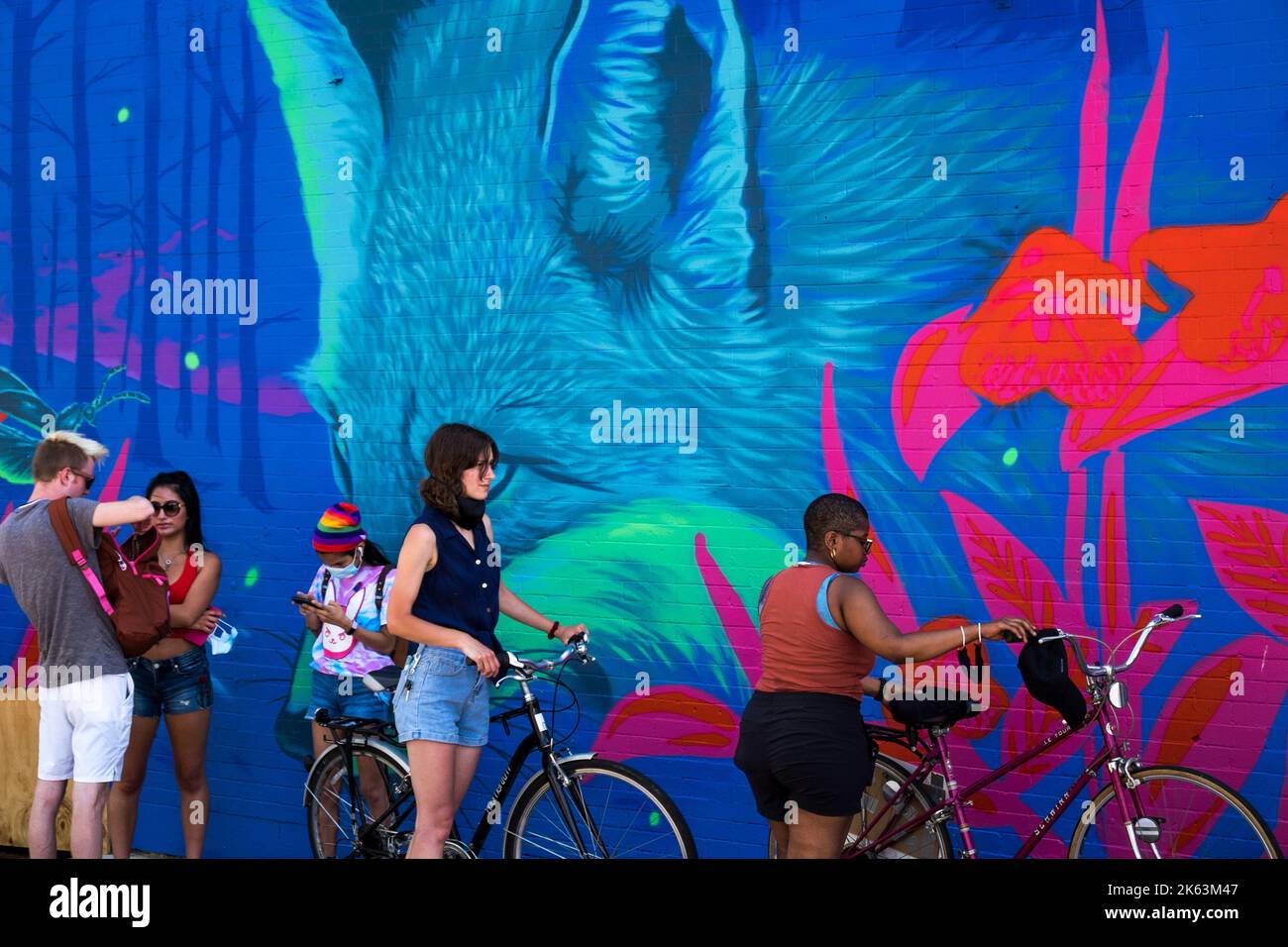 Colorful fox mural in Uptown, Minneapolis, Minnesota Stock Photo - Alamy