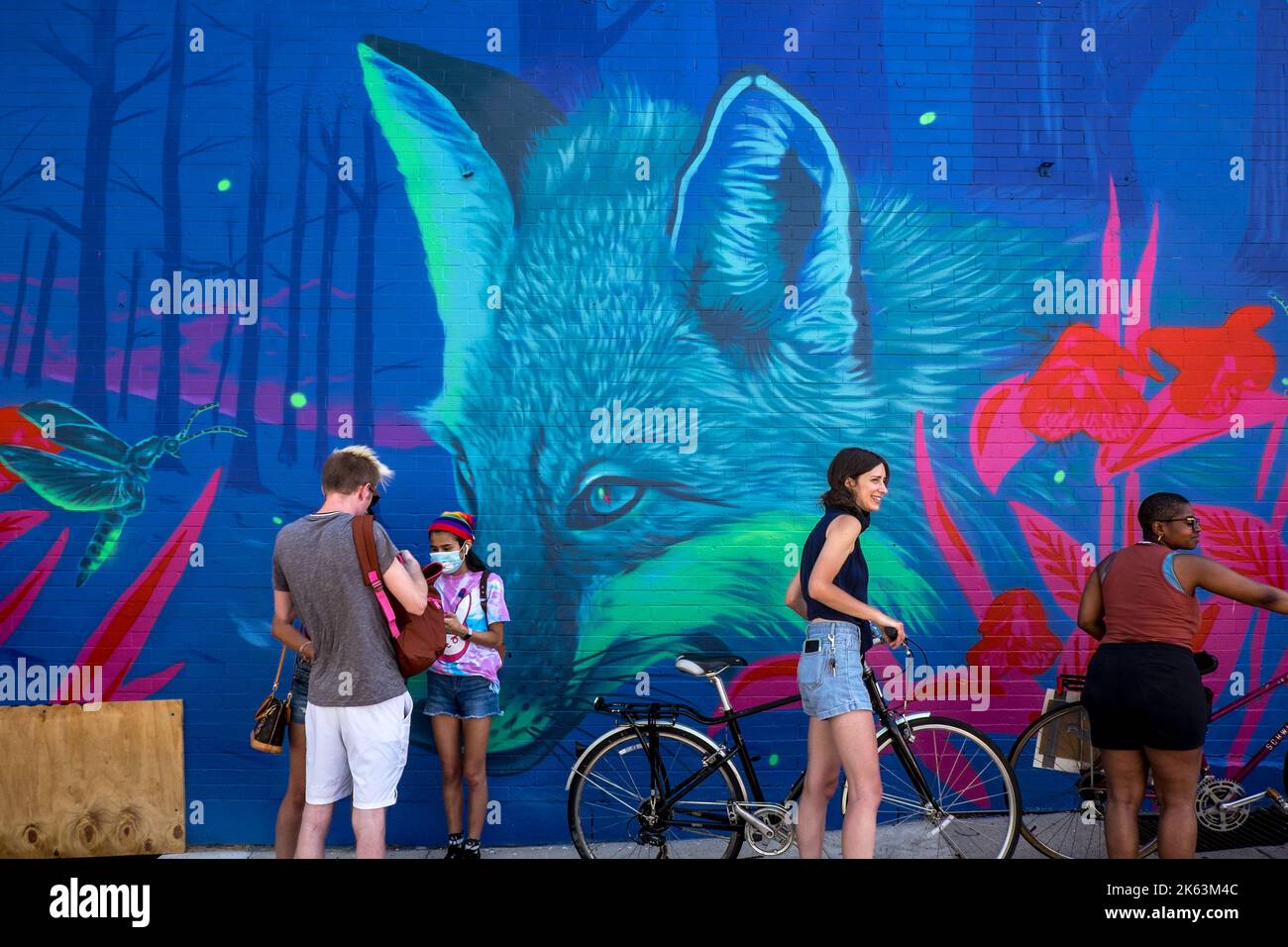 Colorful fox mural in Uptown, Minneapolis, Minnesota Stock Photo - Alamy