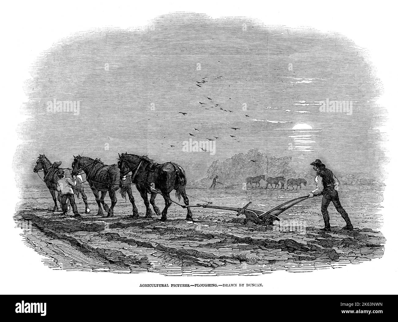 Plough ploughing field Cut Out Stock Images & Pictures - Alamy