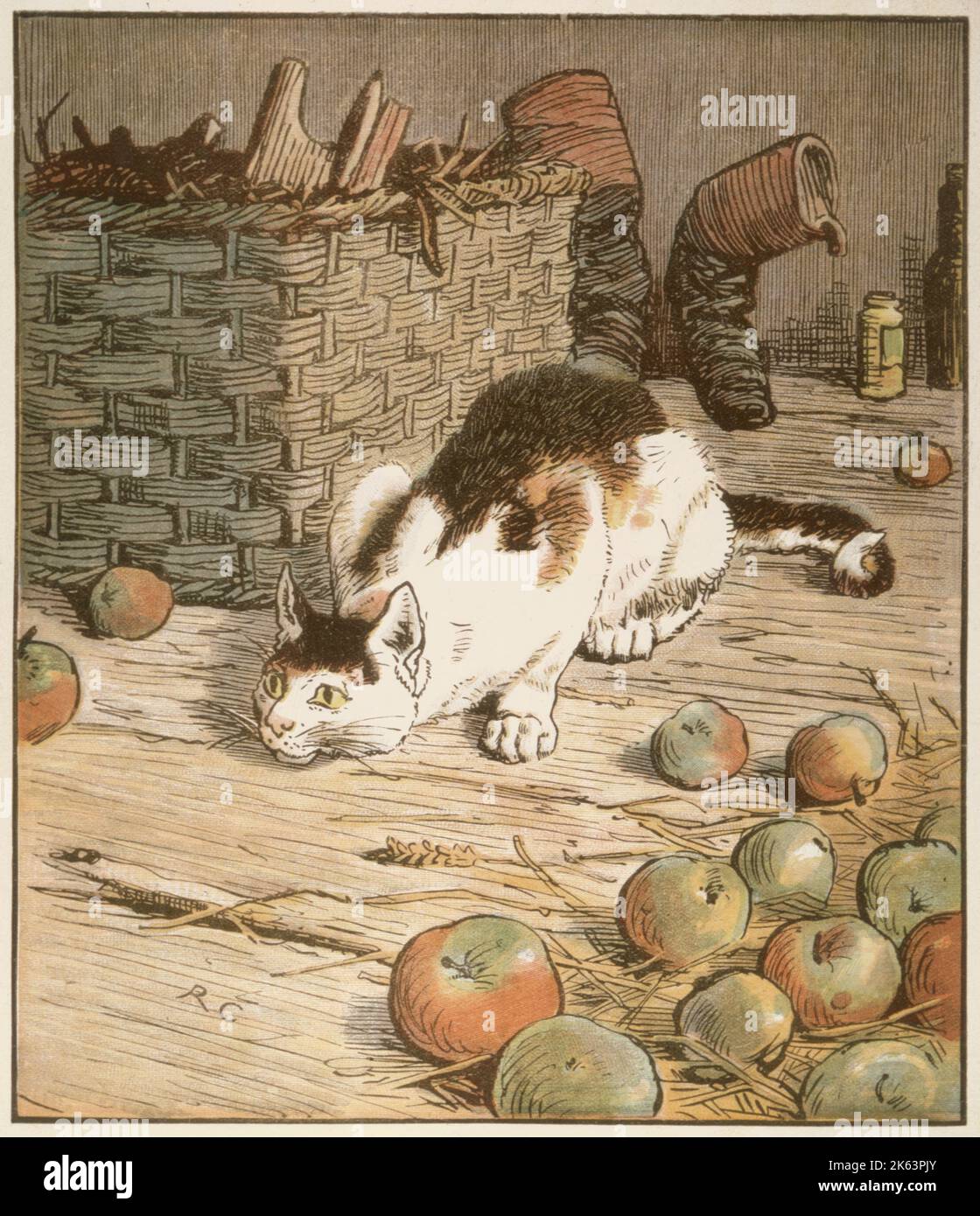 Jack rat hi-res stock photography and images - Alamy