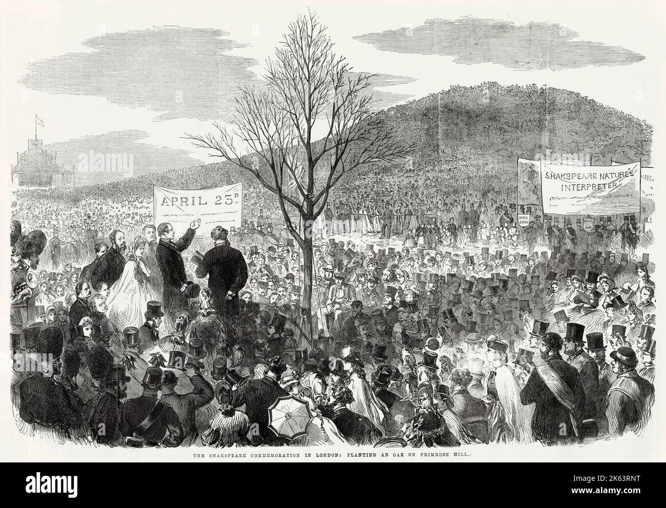 Samuel Phelps planting the young oak tree at the foot of Primrose Hill ...