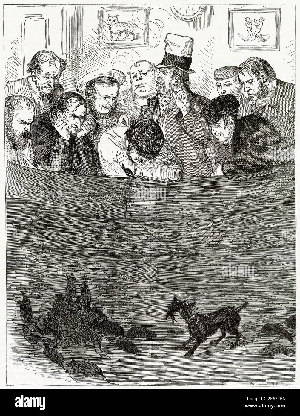 Releasing captured rats in a pit with usually a terrier. The spectators ...