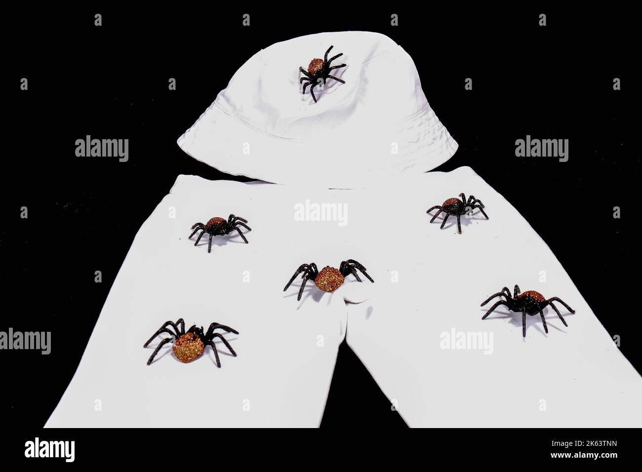 Fake spiders hi-res stock photography and images - Alamy