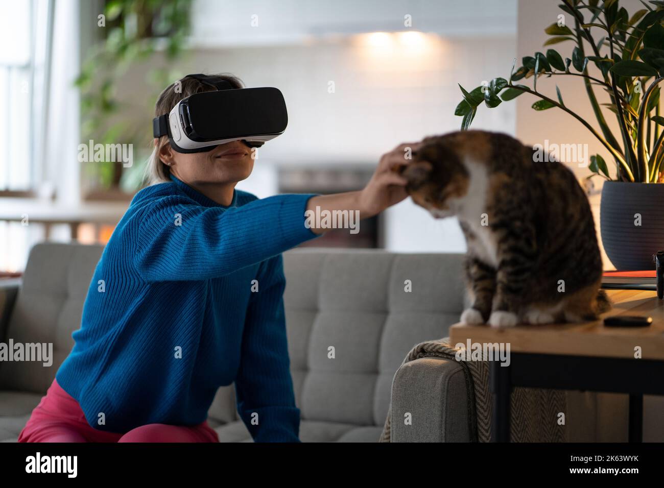 Young woman in VR glasses touches domestic cat and strokes animal head ...