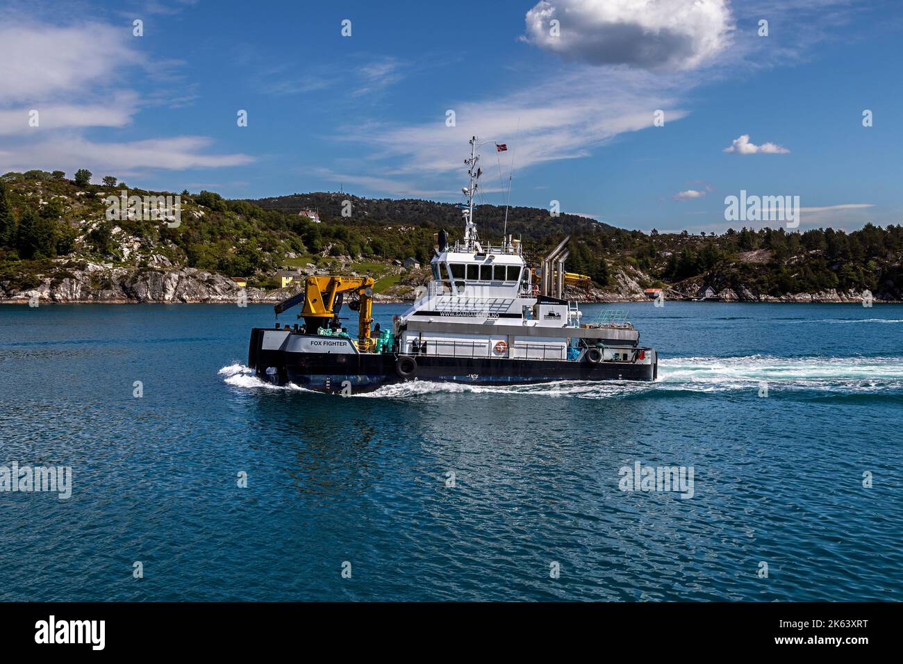 Fox fighter hi-res stock photography and images - Alamy