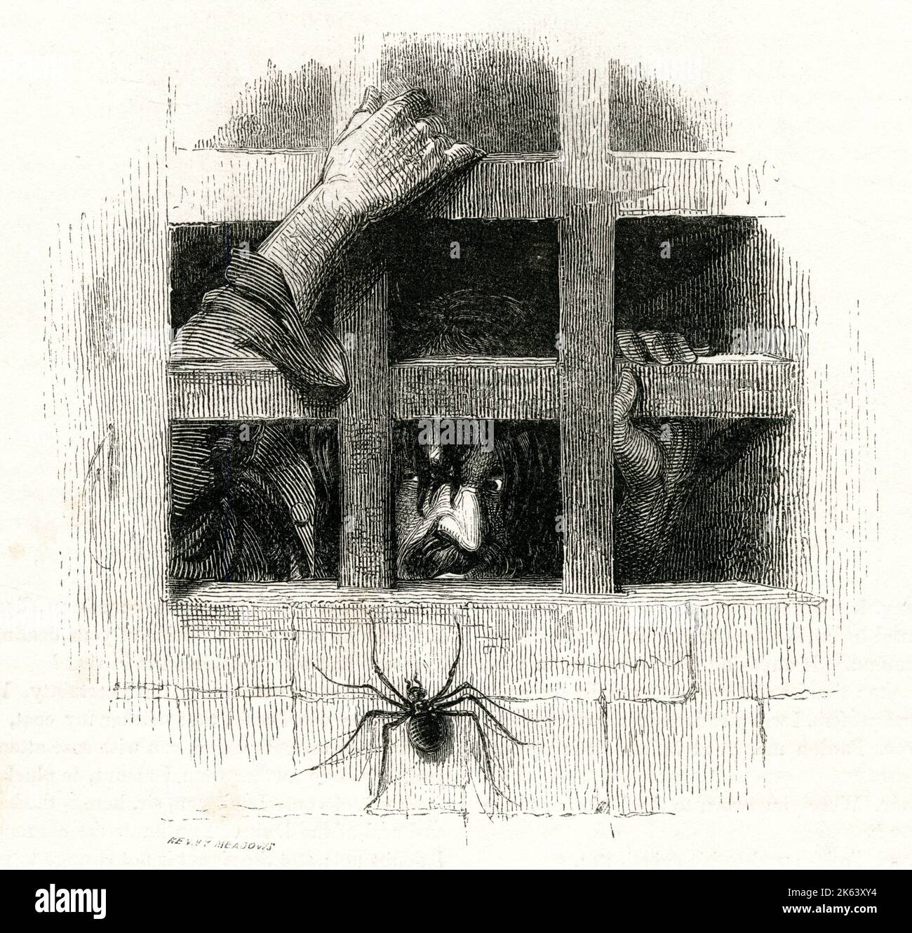 Victorian cell illustration hi-res stock photography and images - Alamy