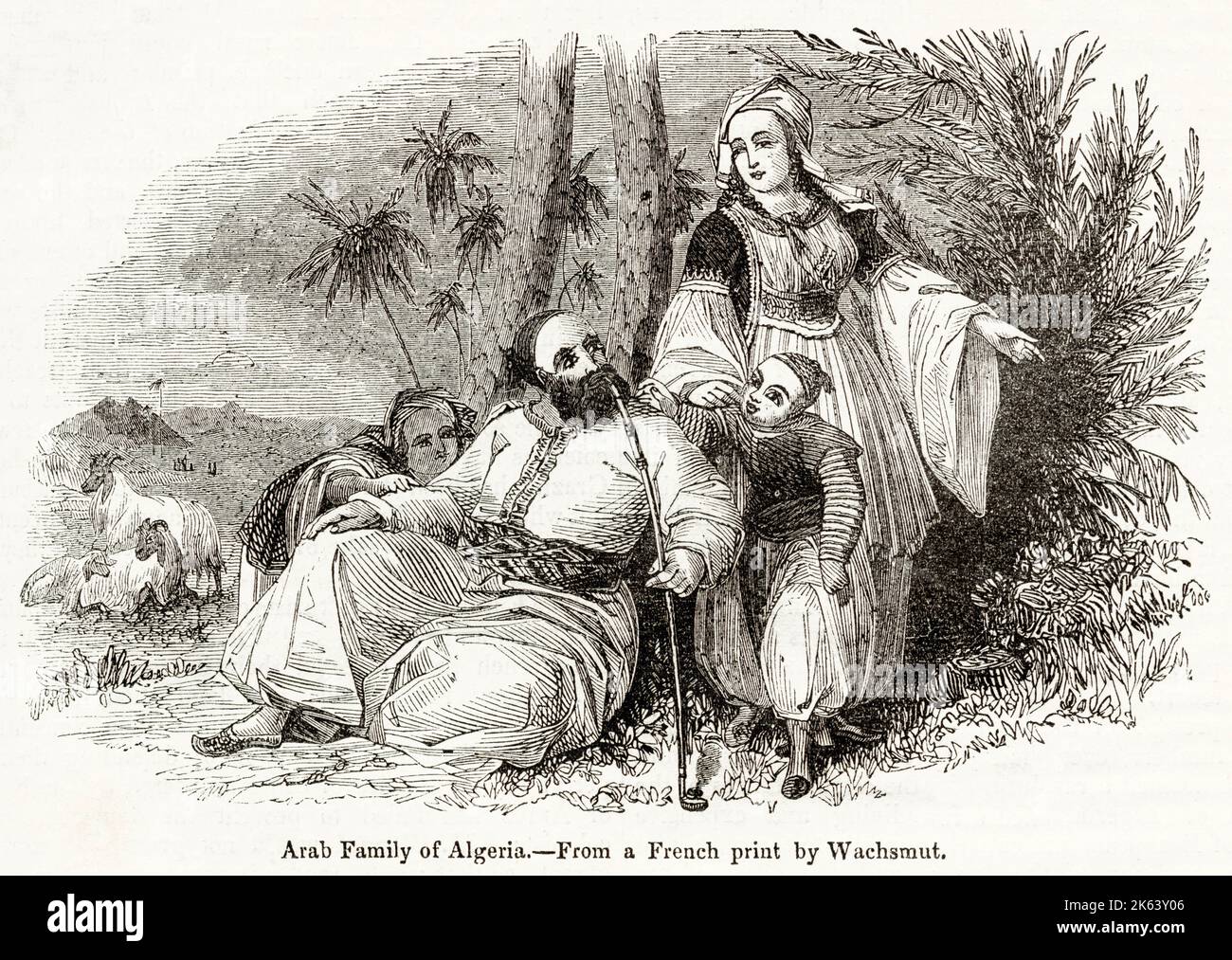 Early algerian history hi-res stock photography and images - Alamy