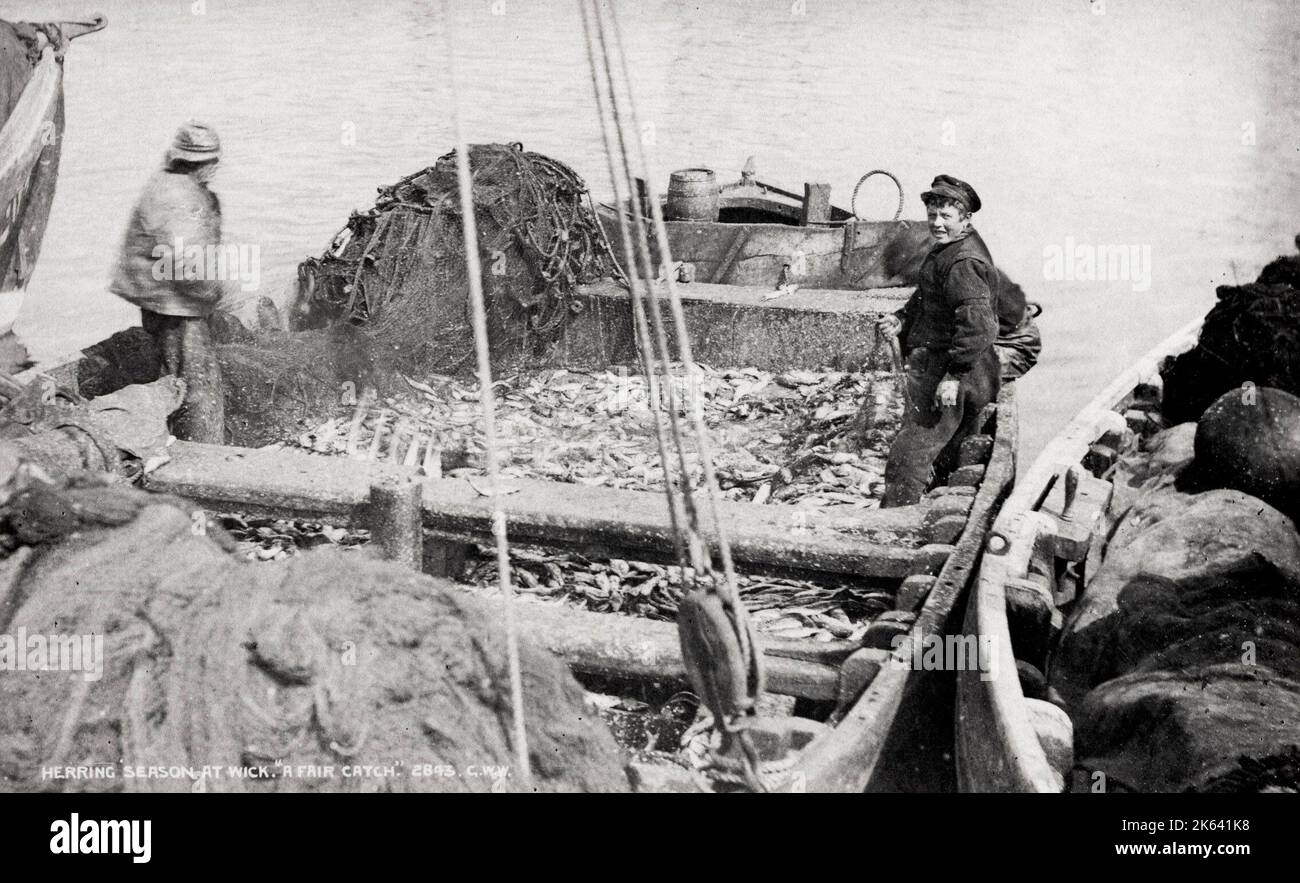 Herring catch scotland hi-res stock photography and images - Alamy