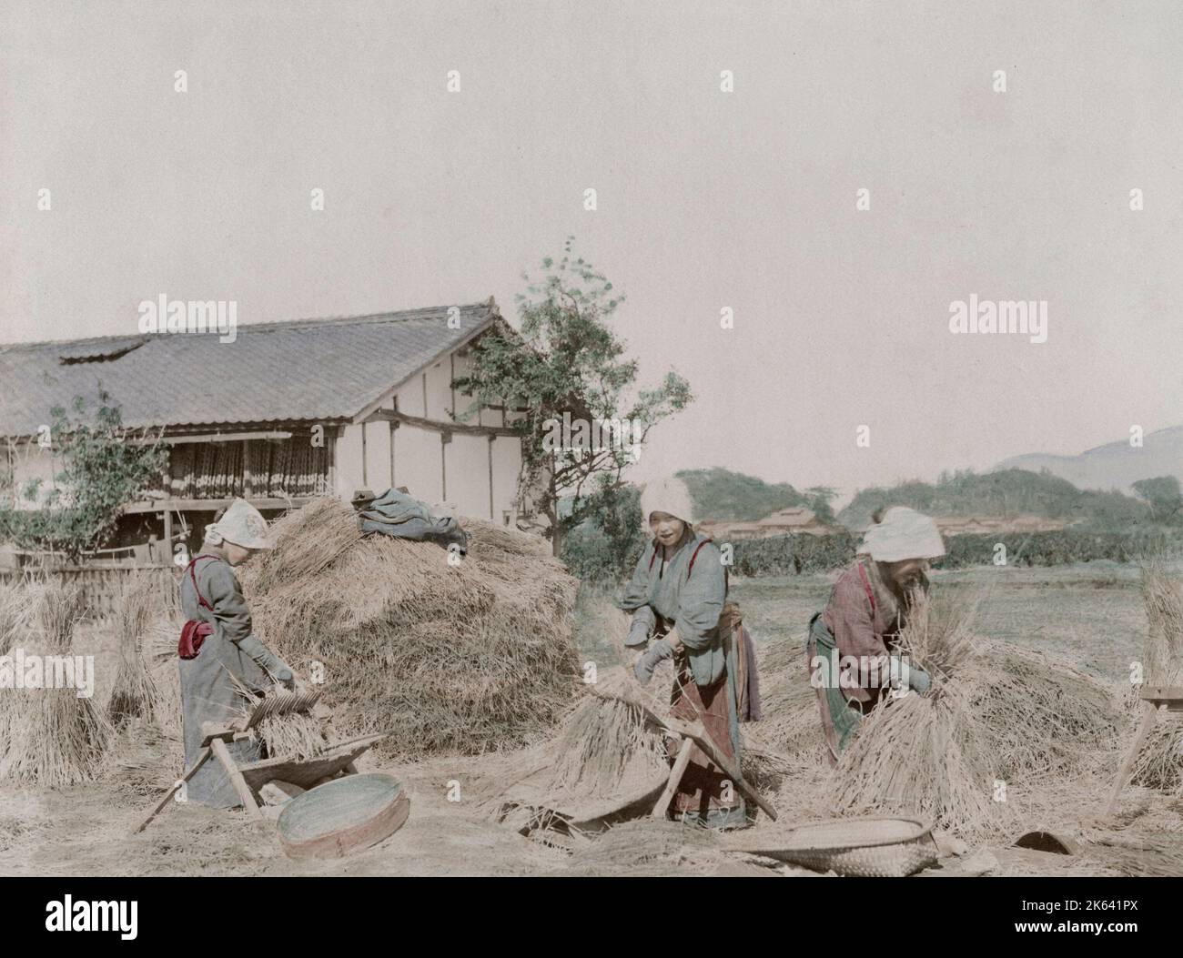 1880 japan japanese rice field hi-res stock photography and images - Alamy