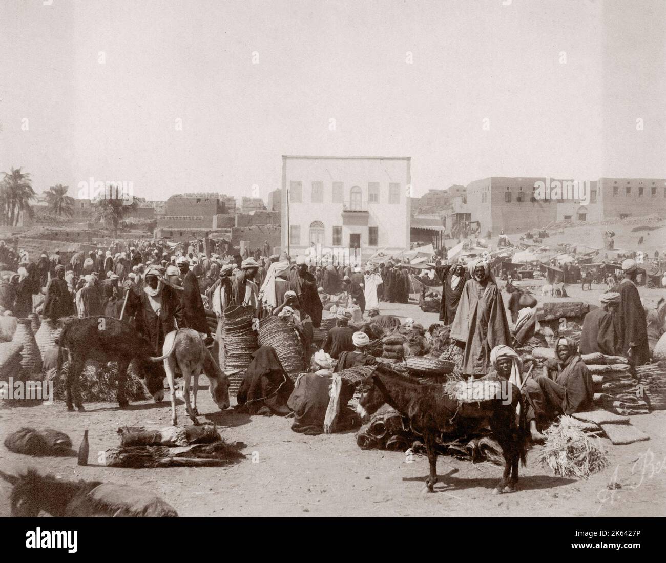 c.1890 - North Africa - street market with donkeys Stock Photo - Alamy