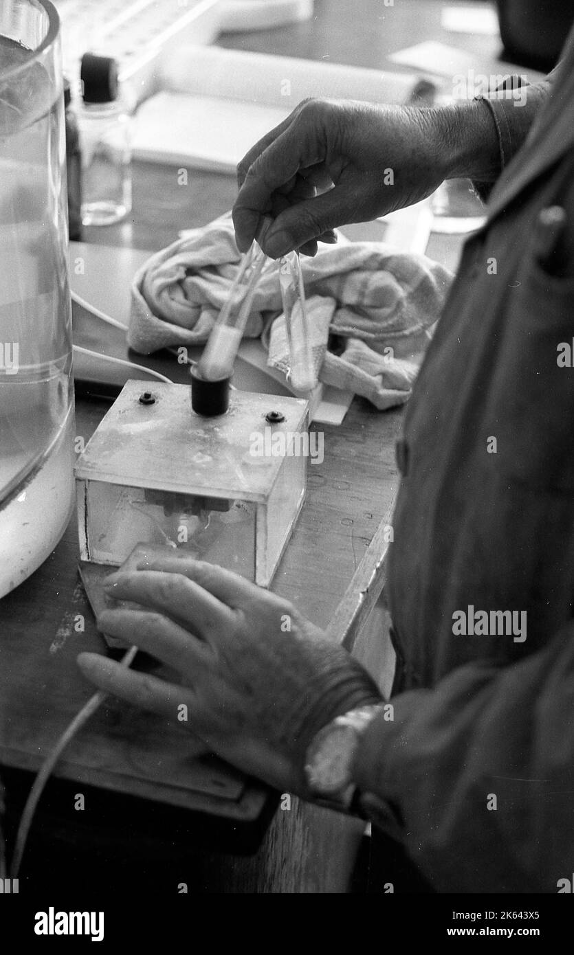 Luis federico leloir hi-res stock photography and images - Alamy