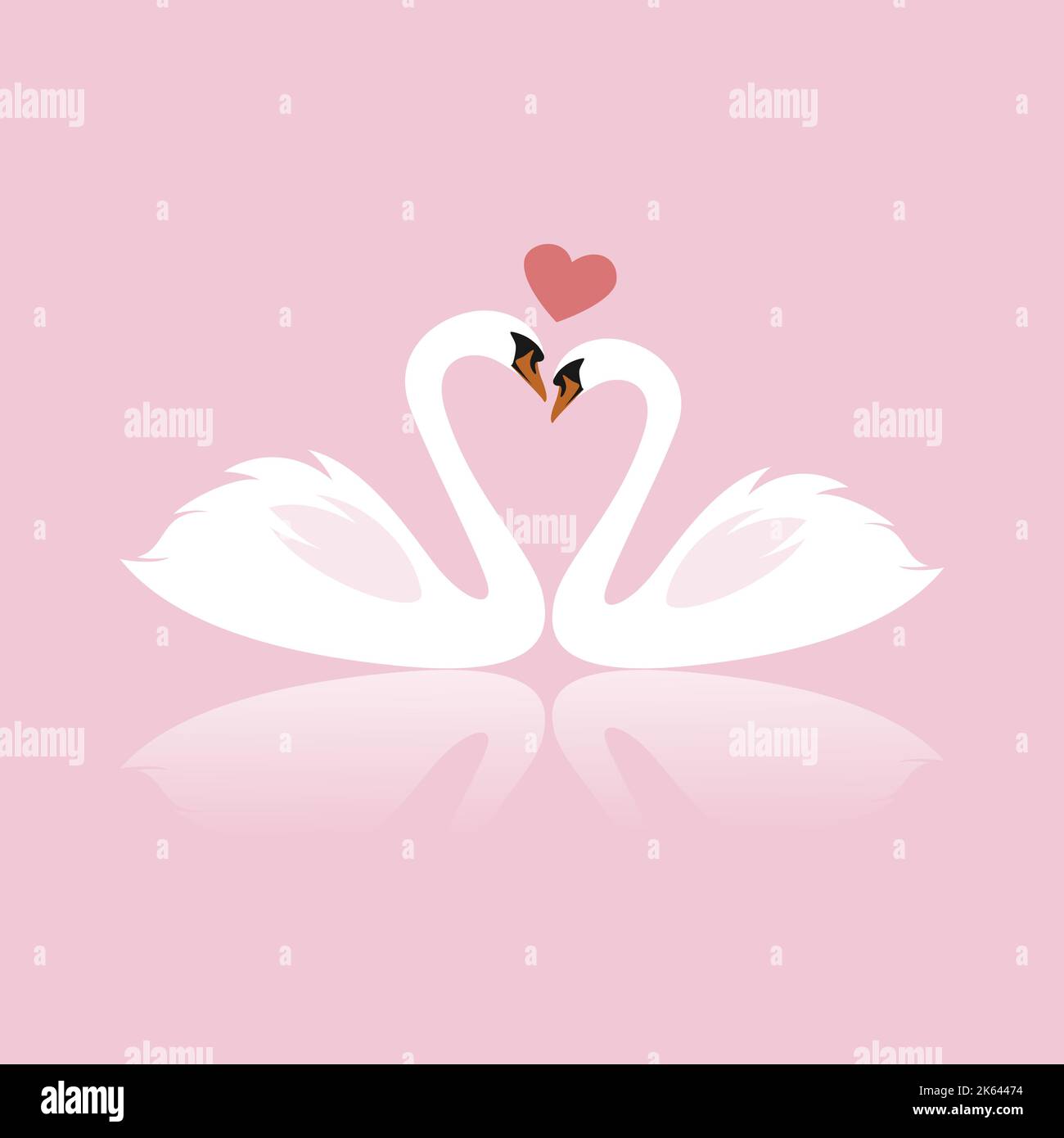 Illustration of a Couple Swan with Heart on their Head. Valentine's Day ...