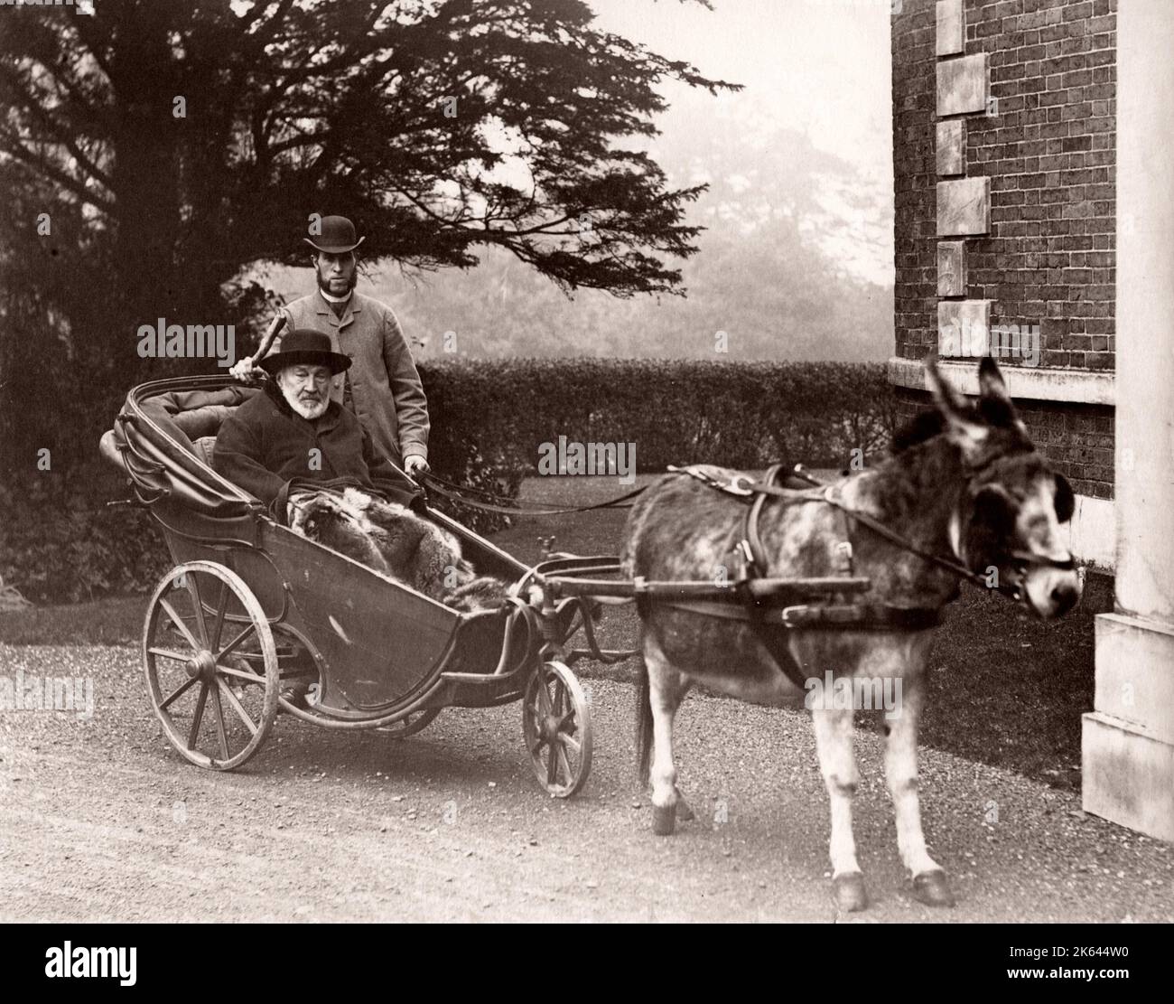 Elderly man in a three wheeled donkey cart and servant, late 19th ...