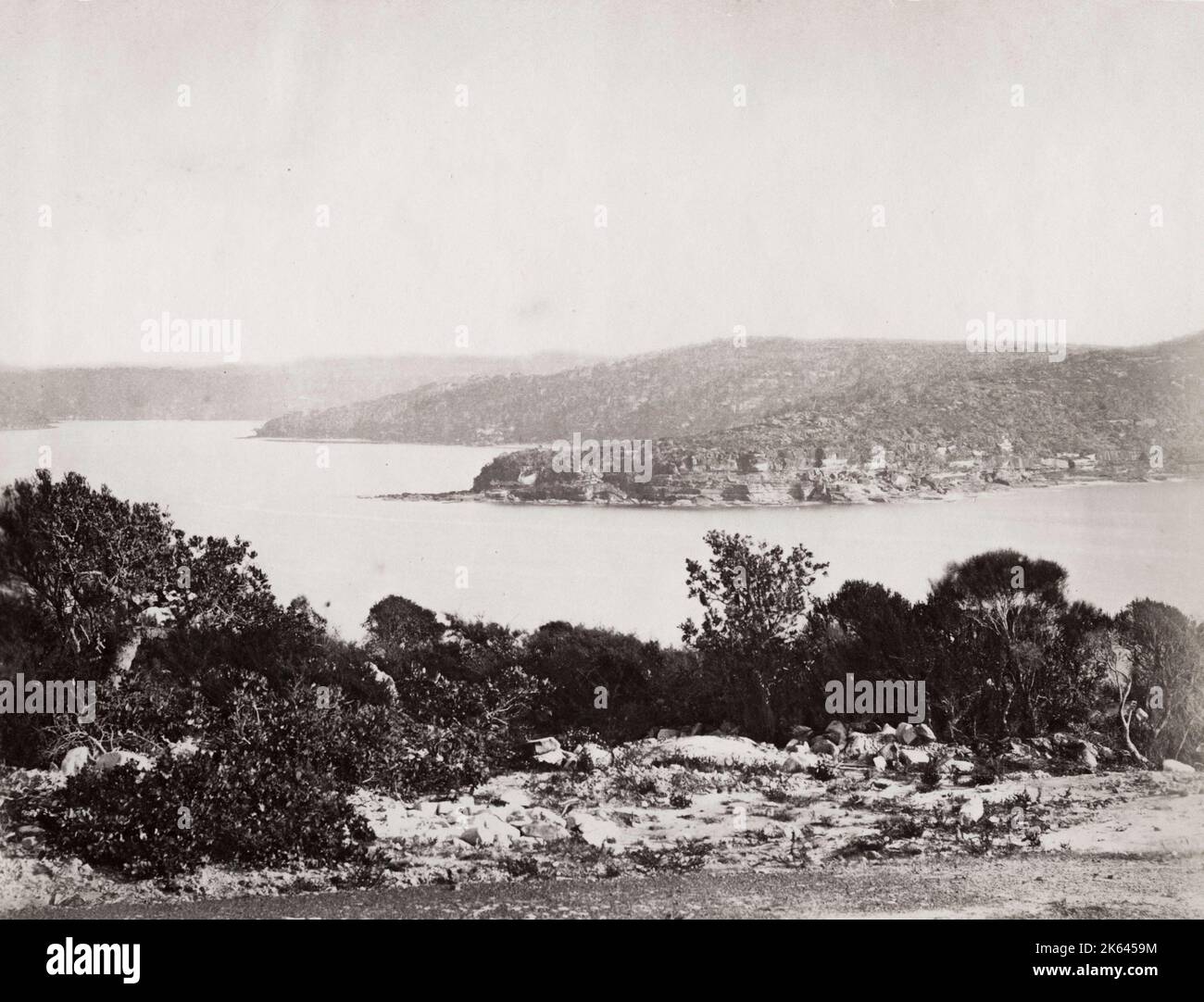 19th century vintage photograph: Middle Harbour, Port Jackson, Sydney ...