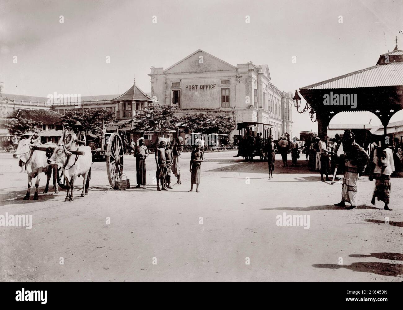 19th century vintage photograph: street scene, bullock cart, post ...