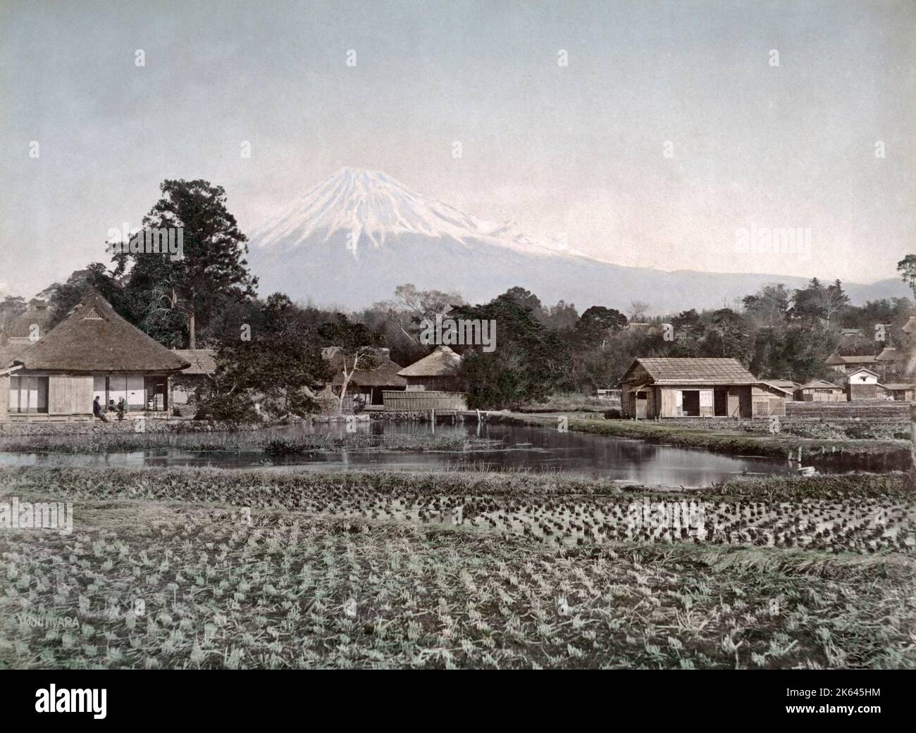 Mount Fujiyama with farm in foreground, Japan, c.1880's Vintage late ...
