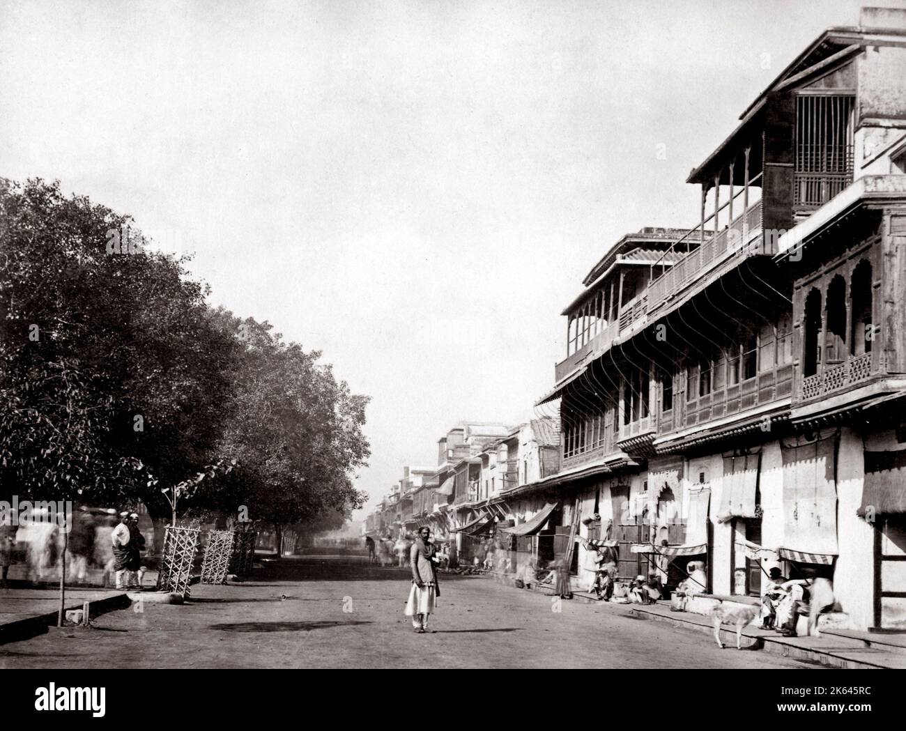 c. 1870s India - the principal street in Delhi Stock Photo - Alamy