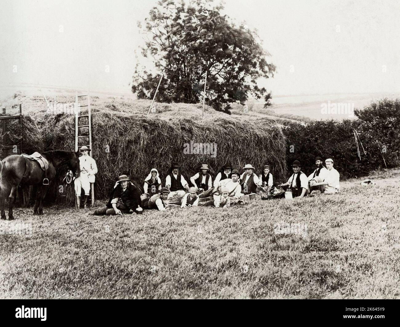 1890s farming farm hi-res stock photography and images - Alamy