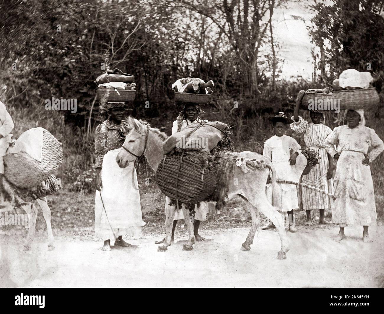 Woman on donkey west indies hi-res stock photography and images - Alamy