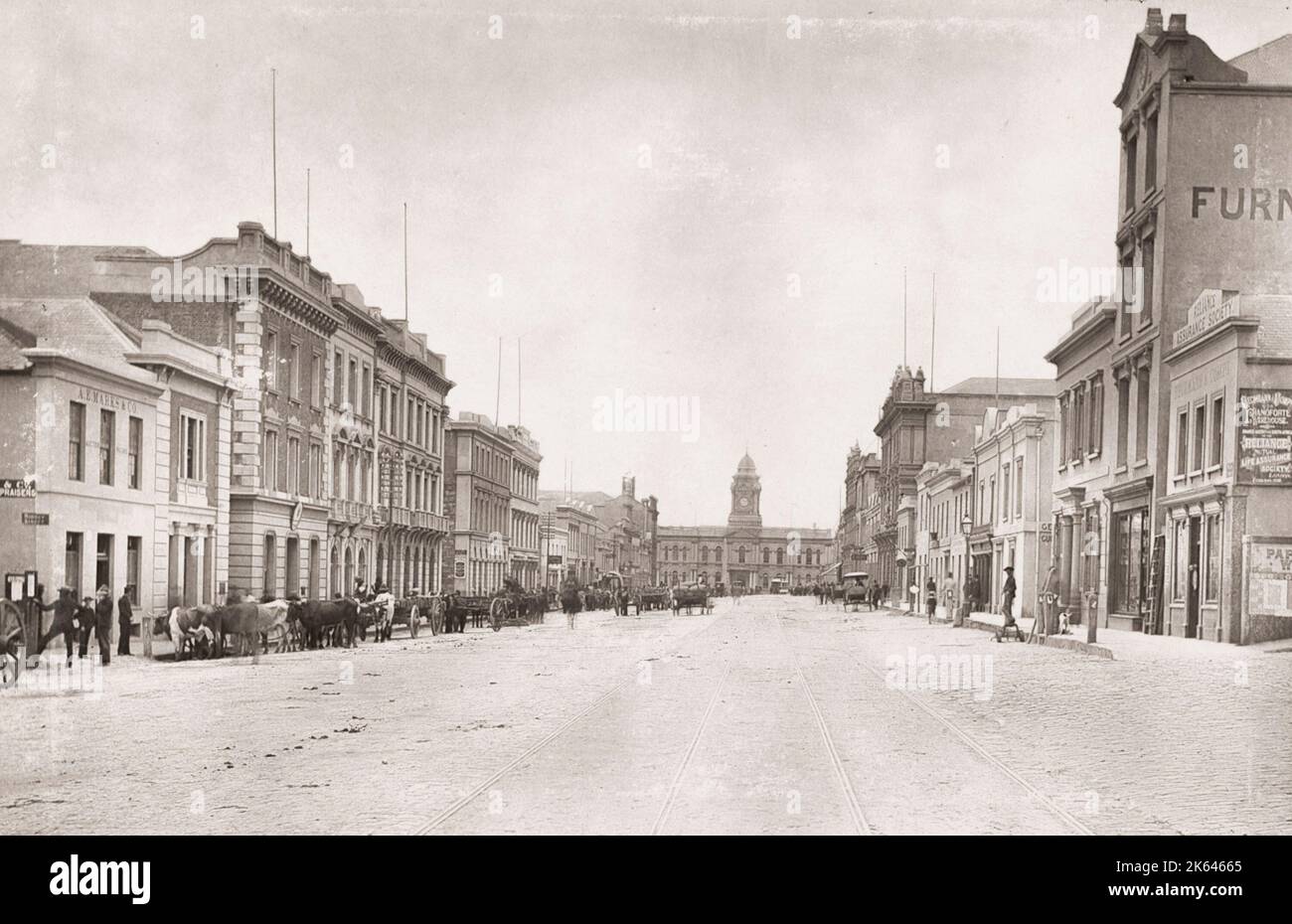19th century vintage photograph: Main Street, Port Elizabeth, South ...