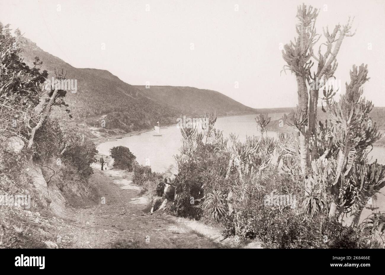 19th century vintage photograph: Zwartkops River, near Port Elizabeth ...