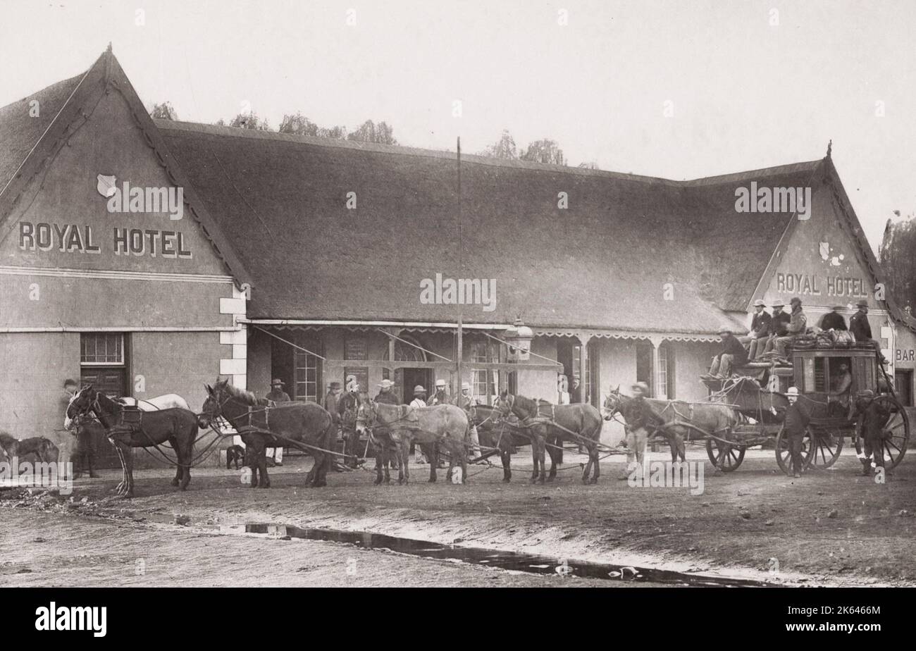 19th century vintage photograph: Goldfields coach and horse, Royal ...