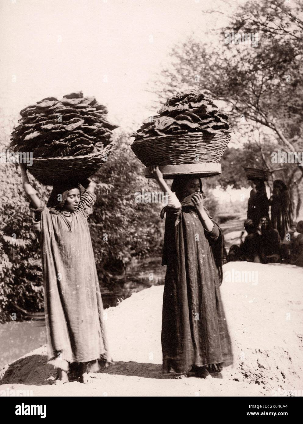 Women carrying dried manure for fuel, India, late 19th century Stock ...