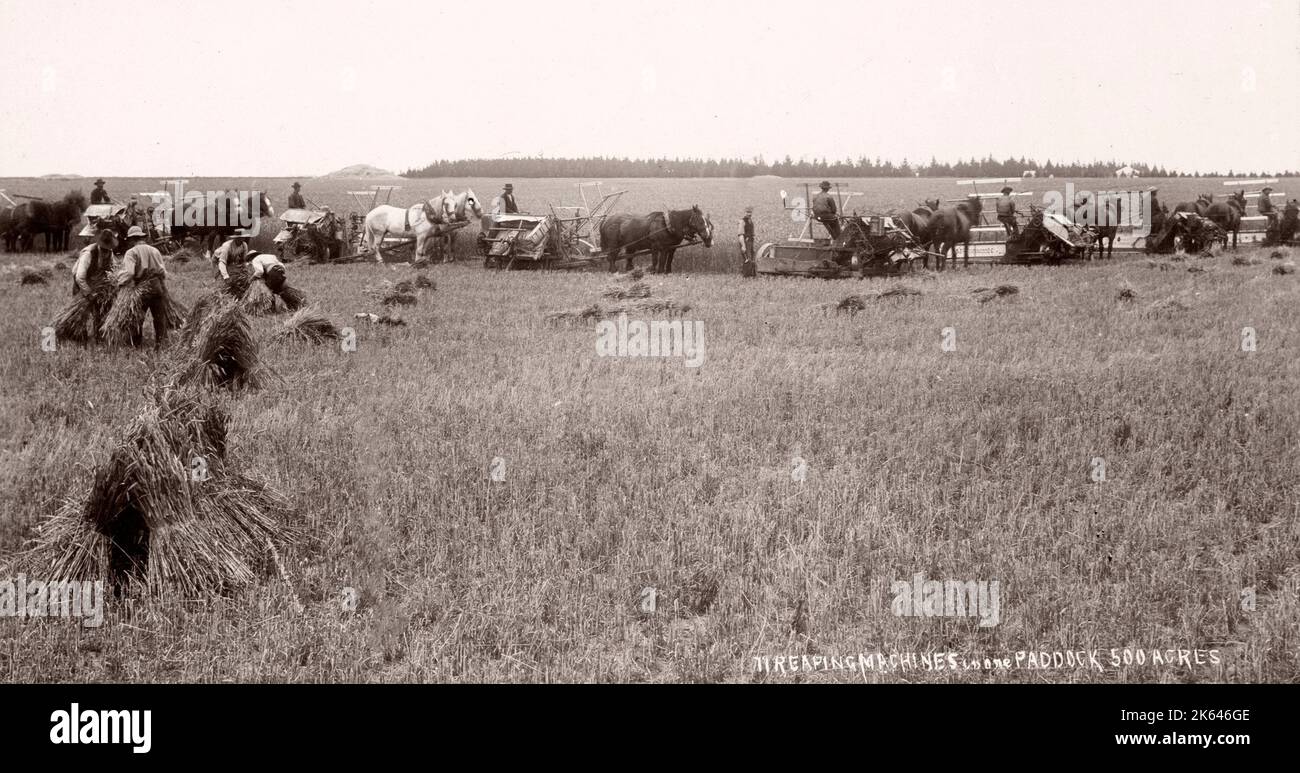 1890s agriculture hi-res stock photography and images - Alamy