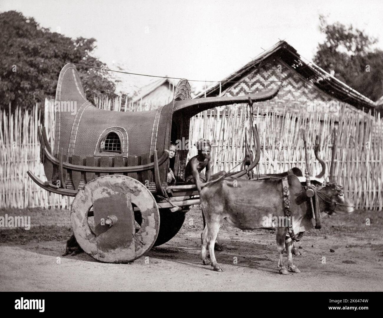 c.1880 India or Burma - bullock cart and driver Stock Photo - Alamy