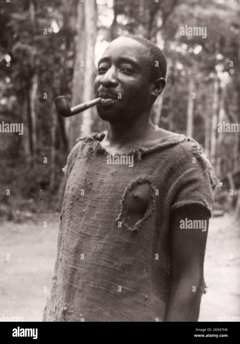 1940s East Africa Uganda - Budongo forest, felling and sawing mahogany ...