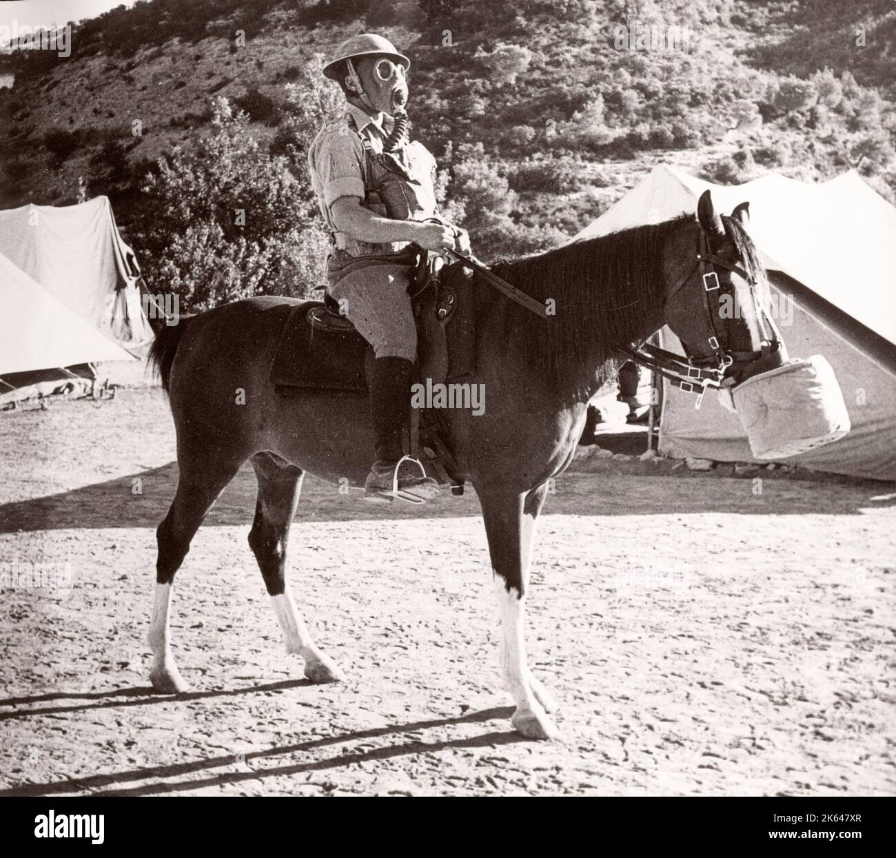 British soldier ww2 photograph hi-res stock photography and images - Alamy