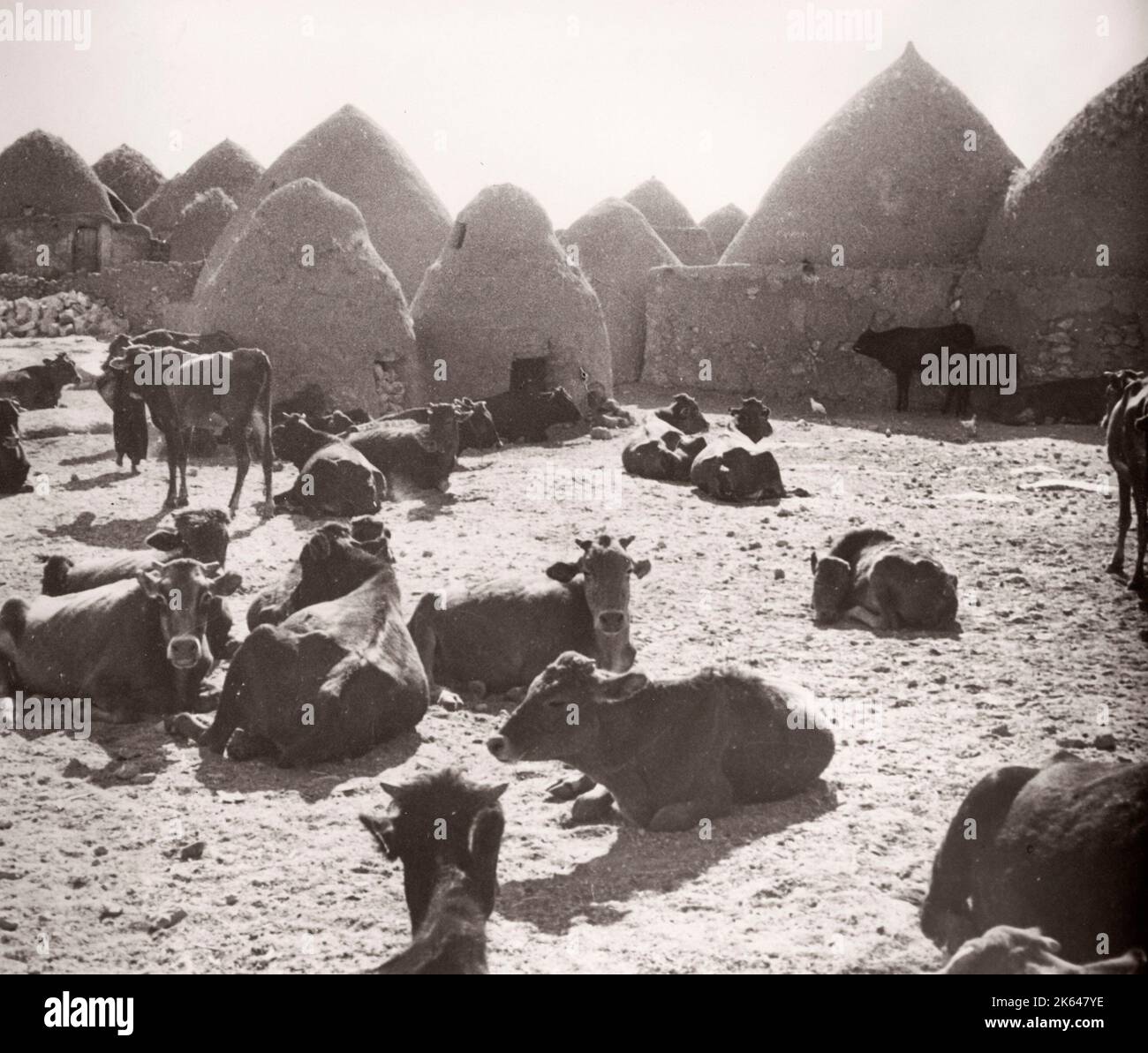 Traditional mud houses syria hi-res stock photography and images - Alamy