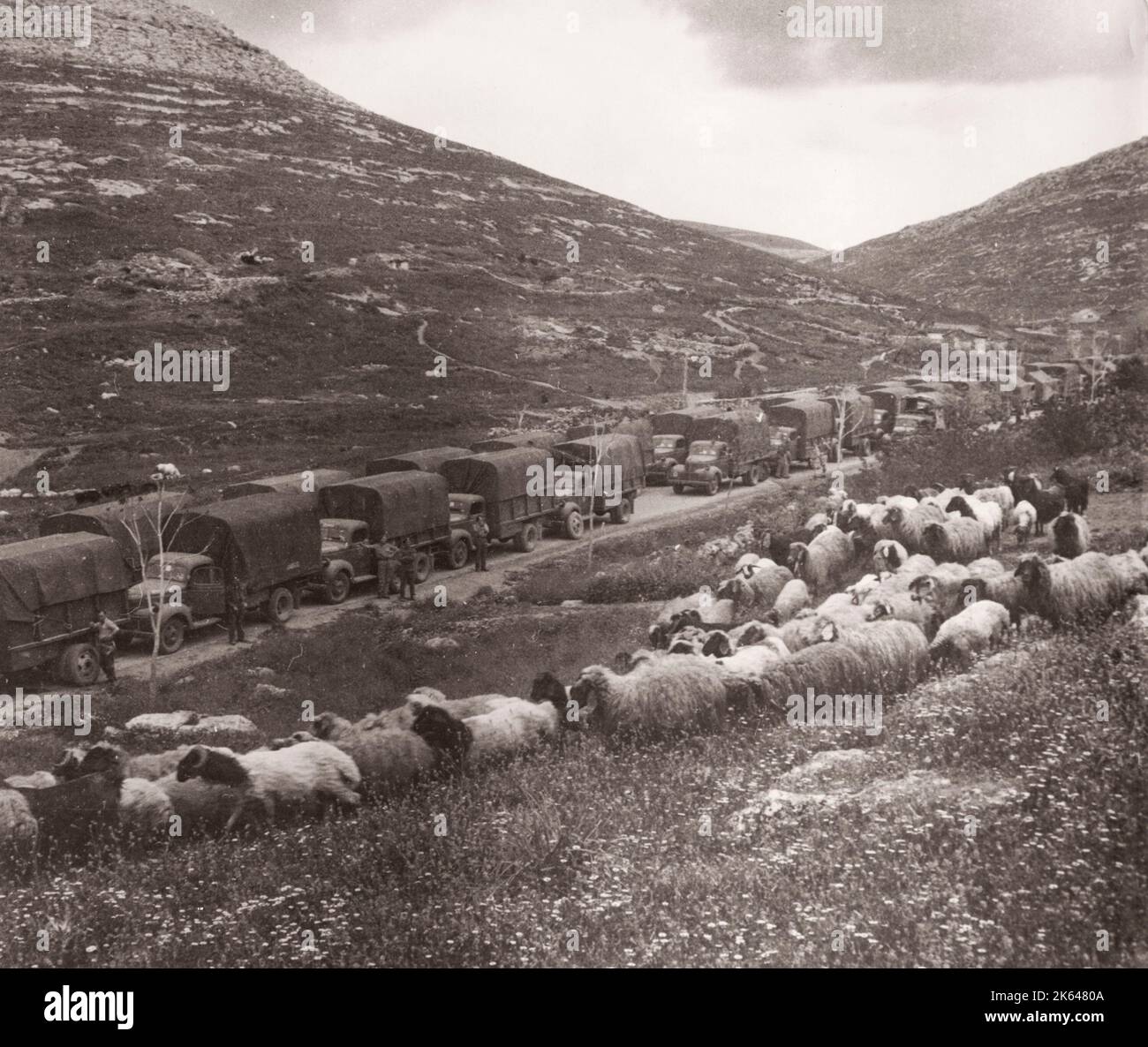 Ww2 british africa convoy hi-res stock photography and images - Alamy