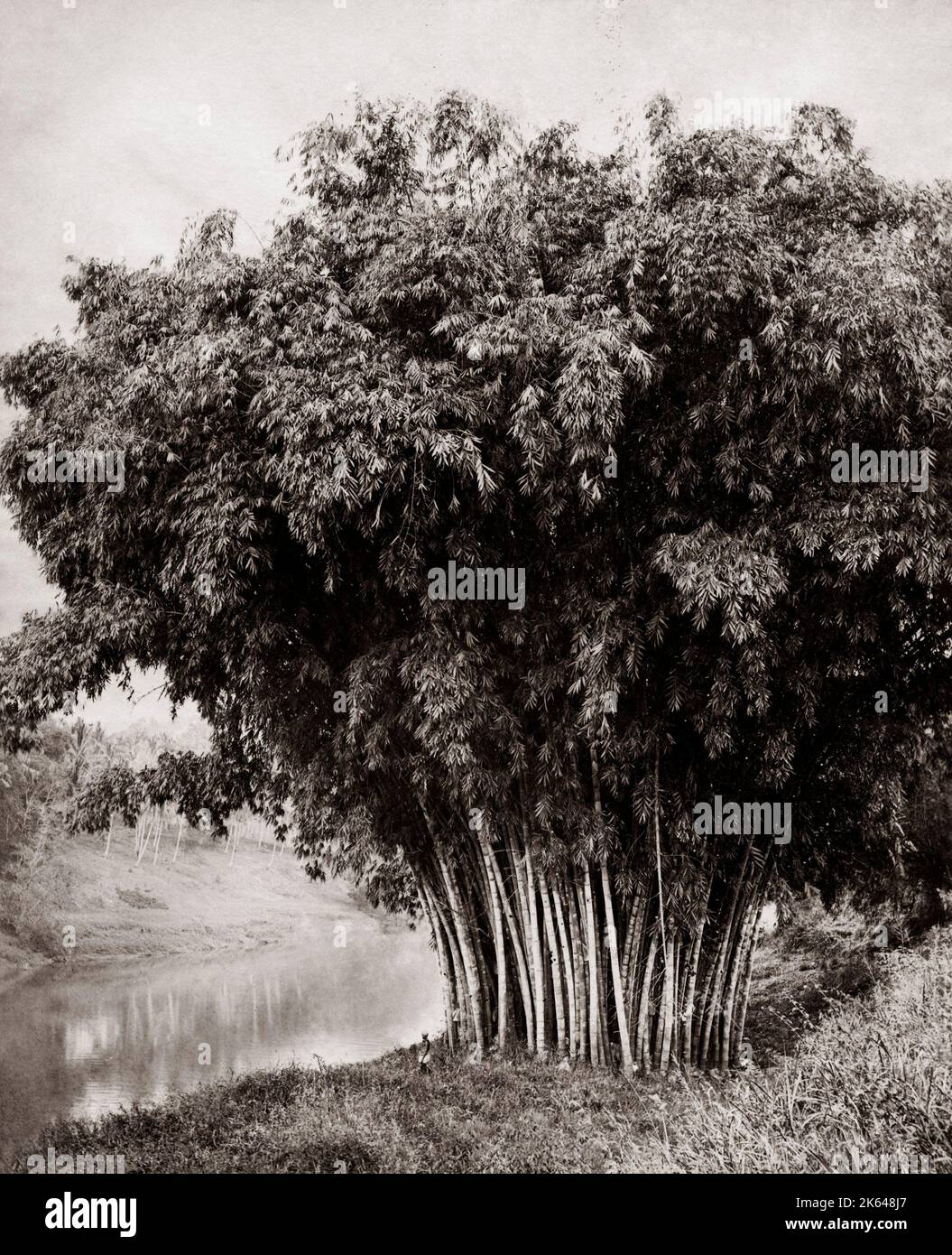 Ceylon culture hi-res stock photography and images - Alamy