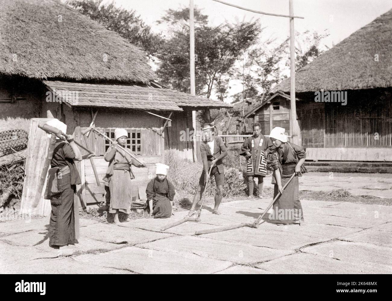 Theshing grain with flails, Japan, c.1880's Stock Photo - Alamy