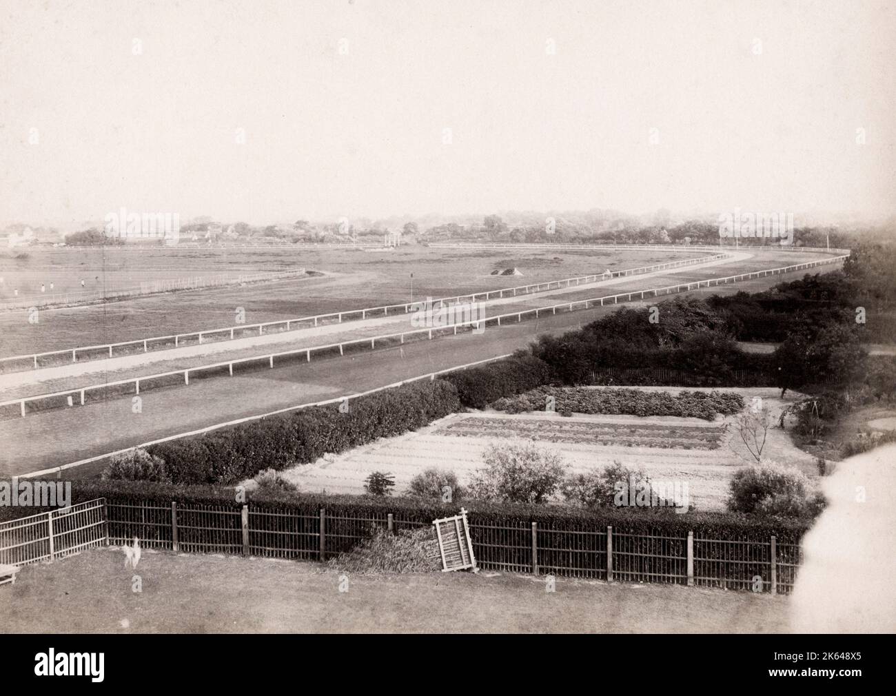 Vintage late 19th century photograph: View of racecourse, horse racing ...