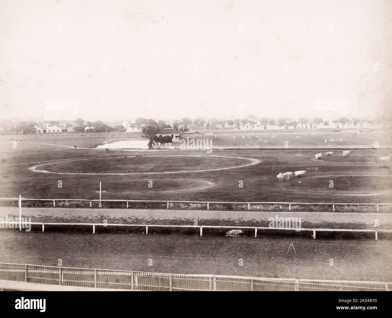 Vintage late 19th century photograph: View of racecourse, horse racing ...