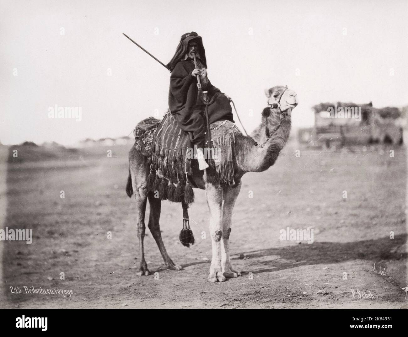 Late 19th century vintage photograph: Traveller, Bedouin man on camel ...