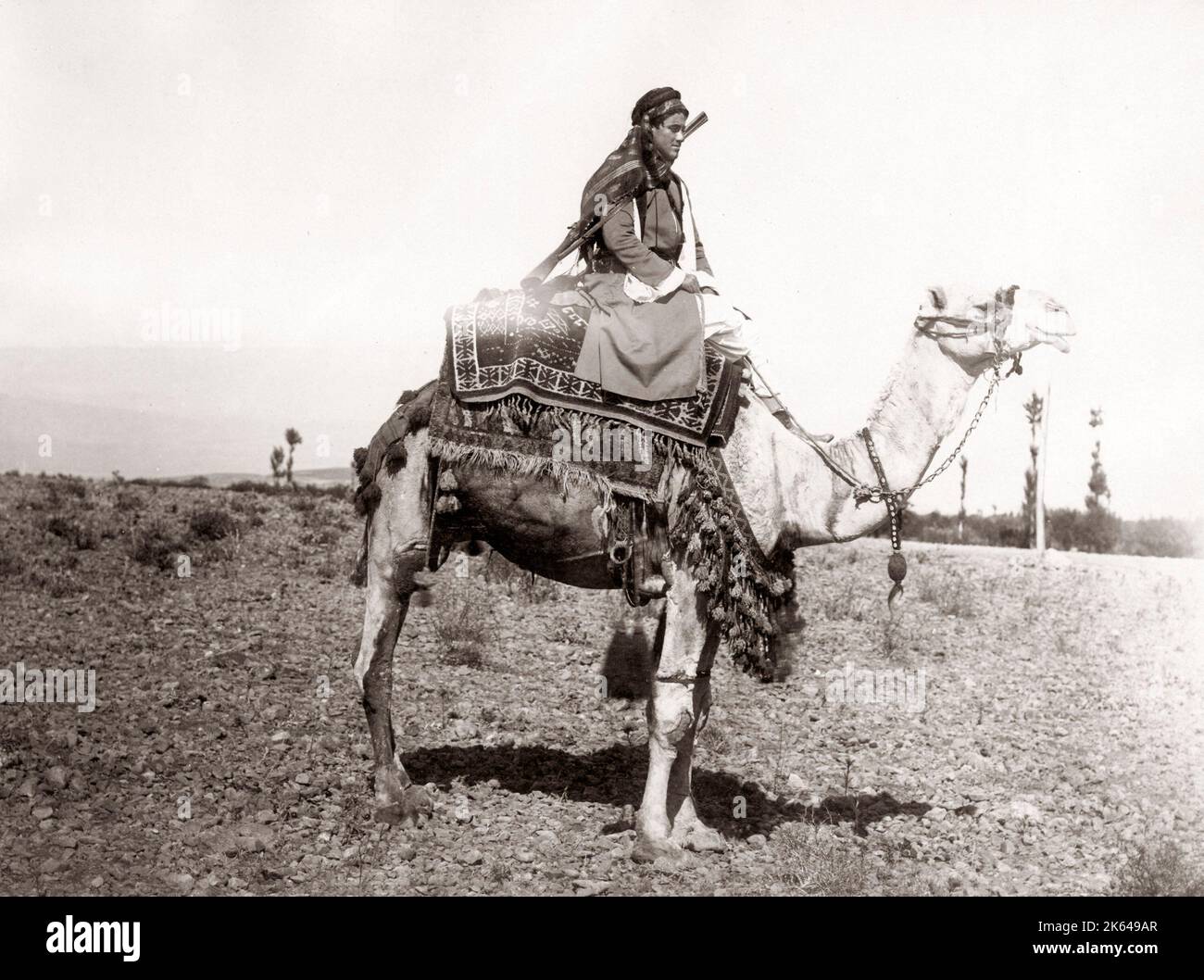 Armed Egyptian man on a camel, 1880's Stock Photo - Alamy