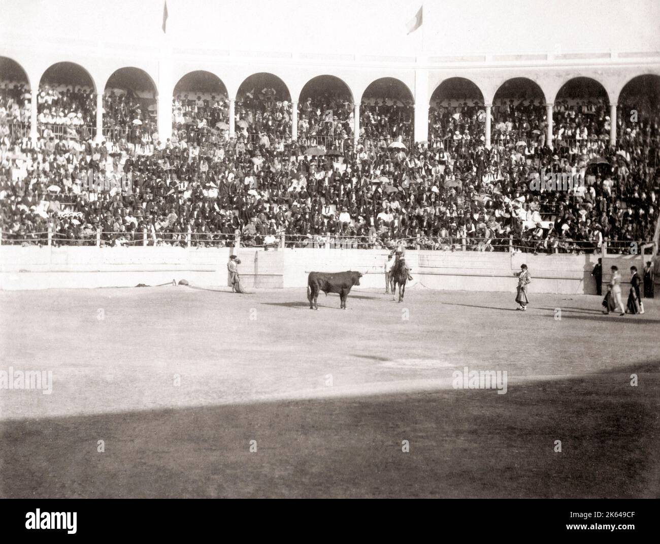 Bullfighting in Spain c.1890 Stock Photo - Alamy