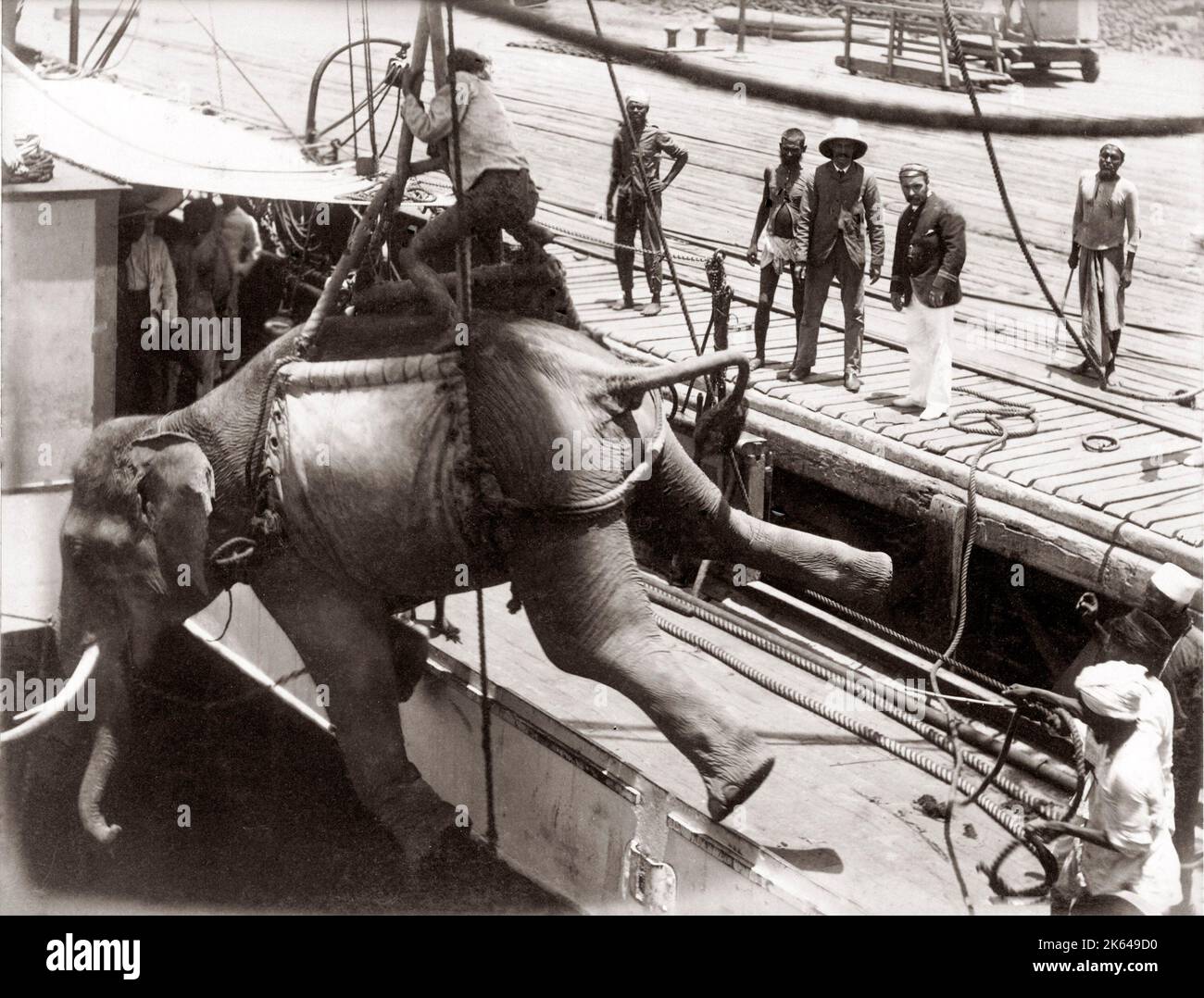 Loading an elephant onto a ship, Burma, 1880's Stock Photo - Alamy
