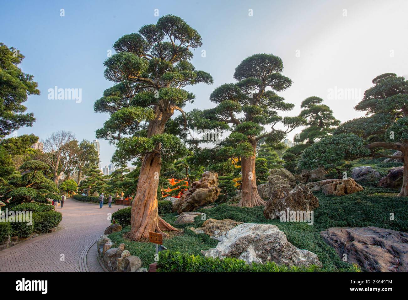 Chinese topiary hi-res stock photography and images - Alamy