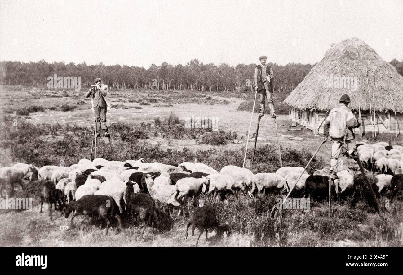 Shepherds on stilts hi-res stock photography and images - Alamy