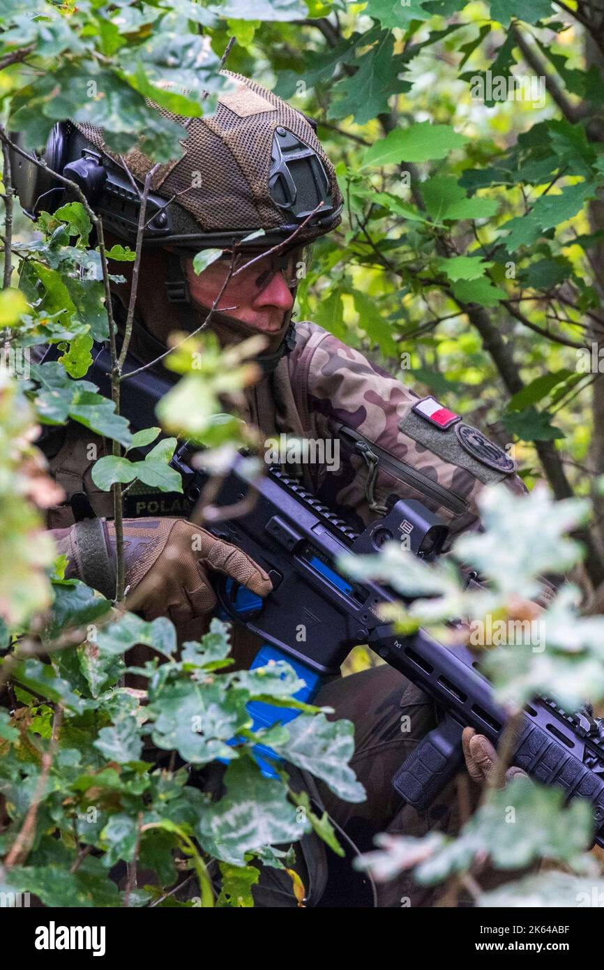 Territorial defense forces hi-res stock photography and images - Alamy