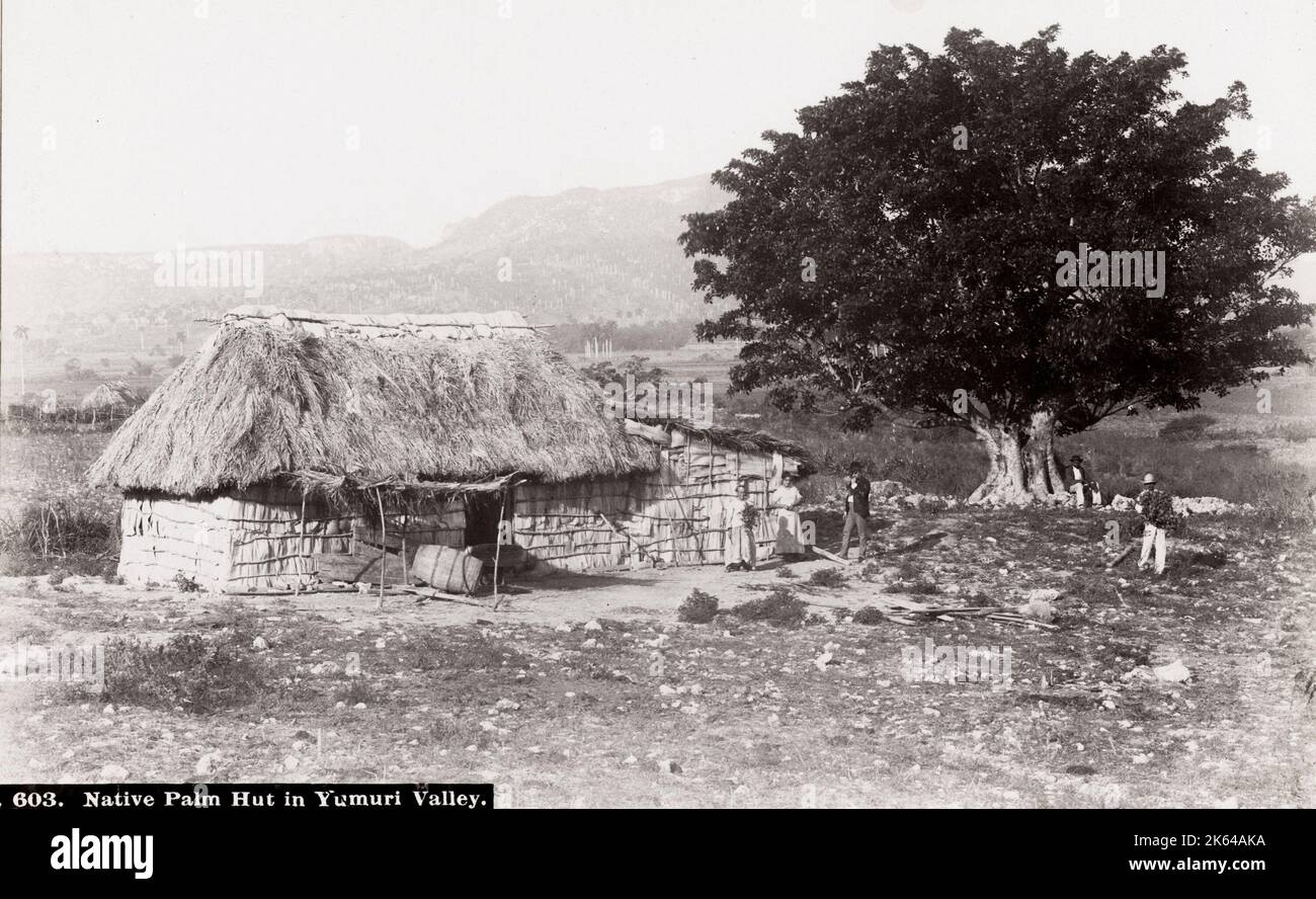 c.1900 photograph - Native palm hut in Yumuri Valley Stock Photo - Alamy
