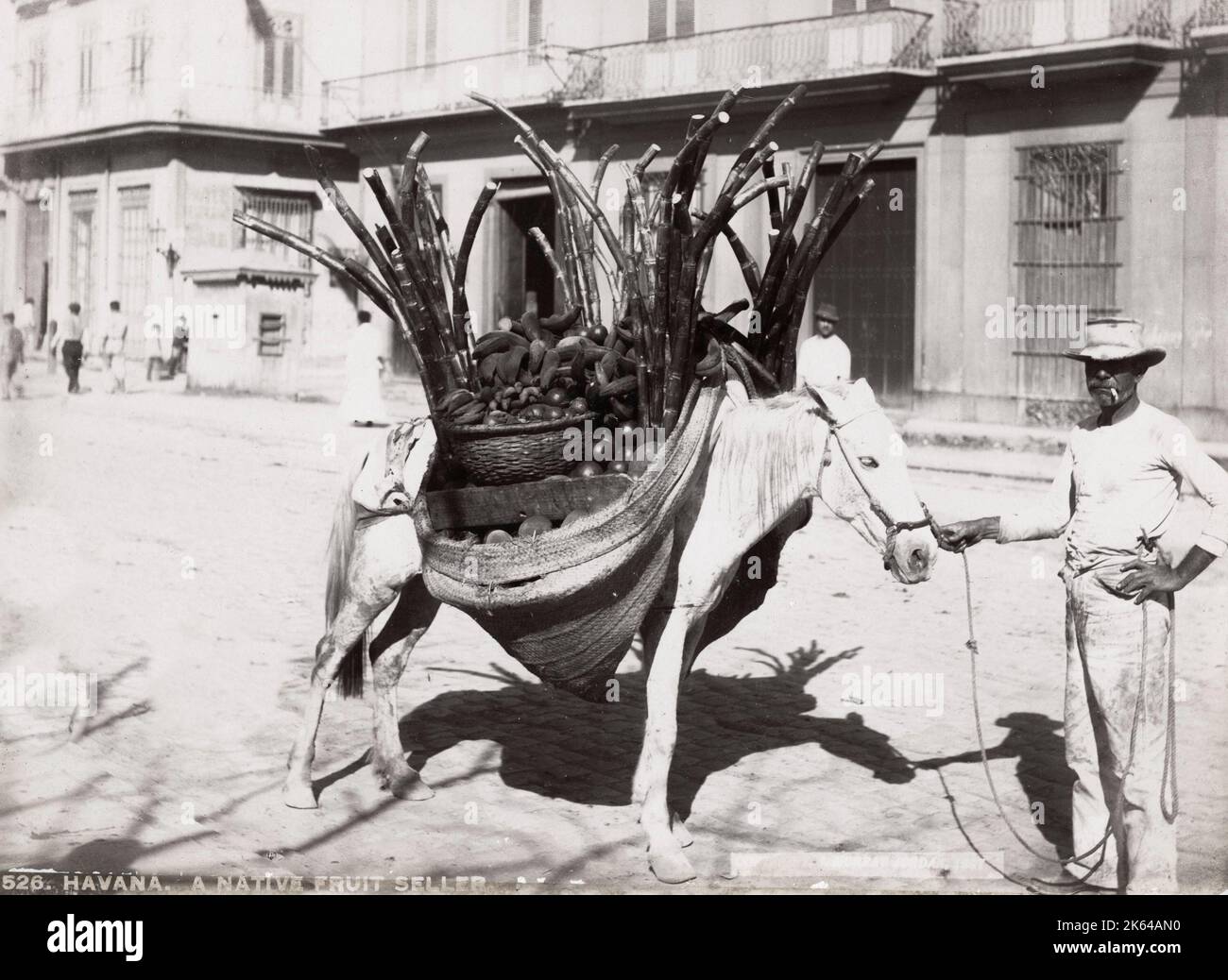 c.1900 photograph - Cuba: fruit seller with his horse Stock Photo - Alamy