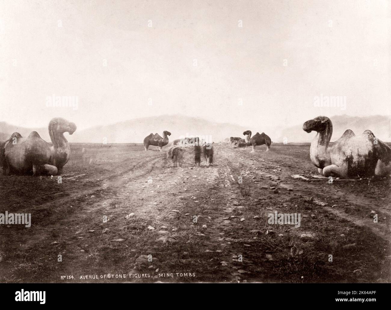 Vintage 19th century photograph China c.1880s - stone animals on the ...